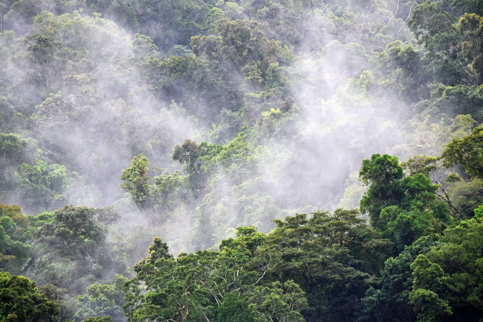 The Six Most Serious Environmental Threats Facing Our Planet - Systems ...