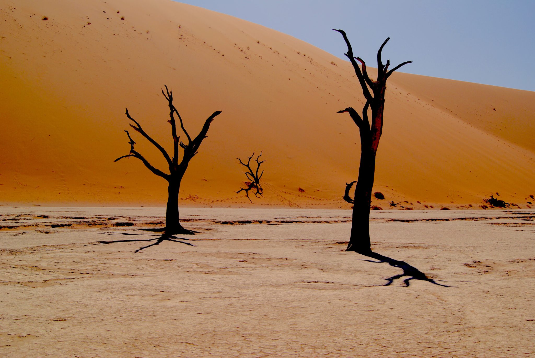 The Six Most Serious Environmental Threats Facing Our Planet - Systems ...
