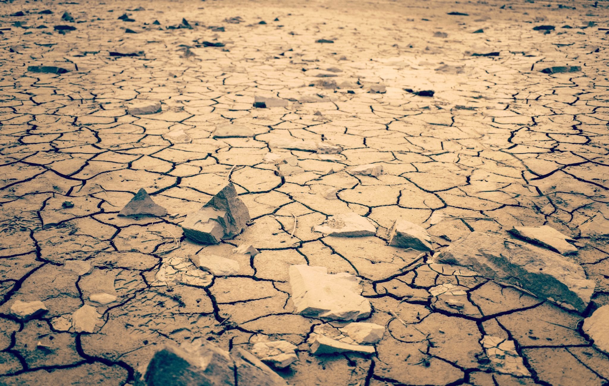 The Natural Resource Crisis: Humanity’s Toughest Challenge - Systems ...